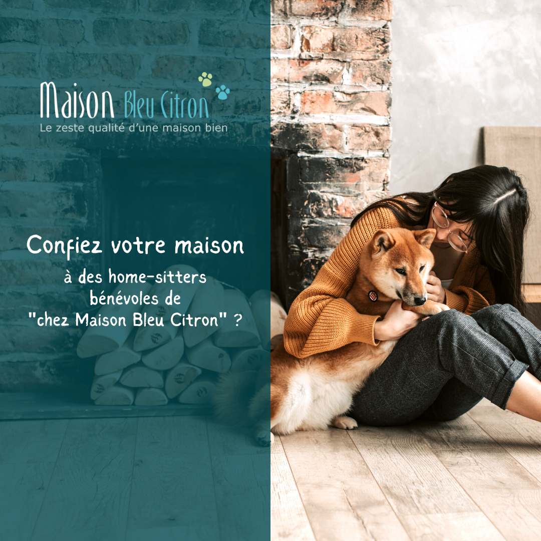 Confier son animal : Les règles à respecter